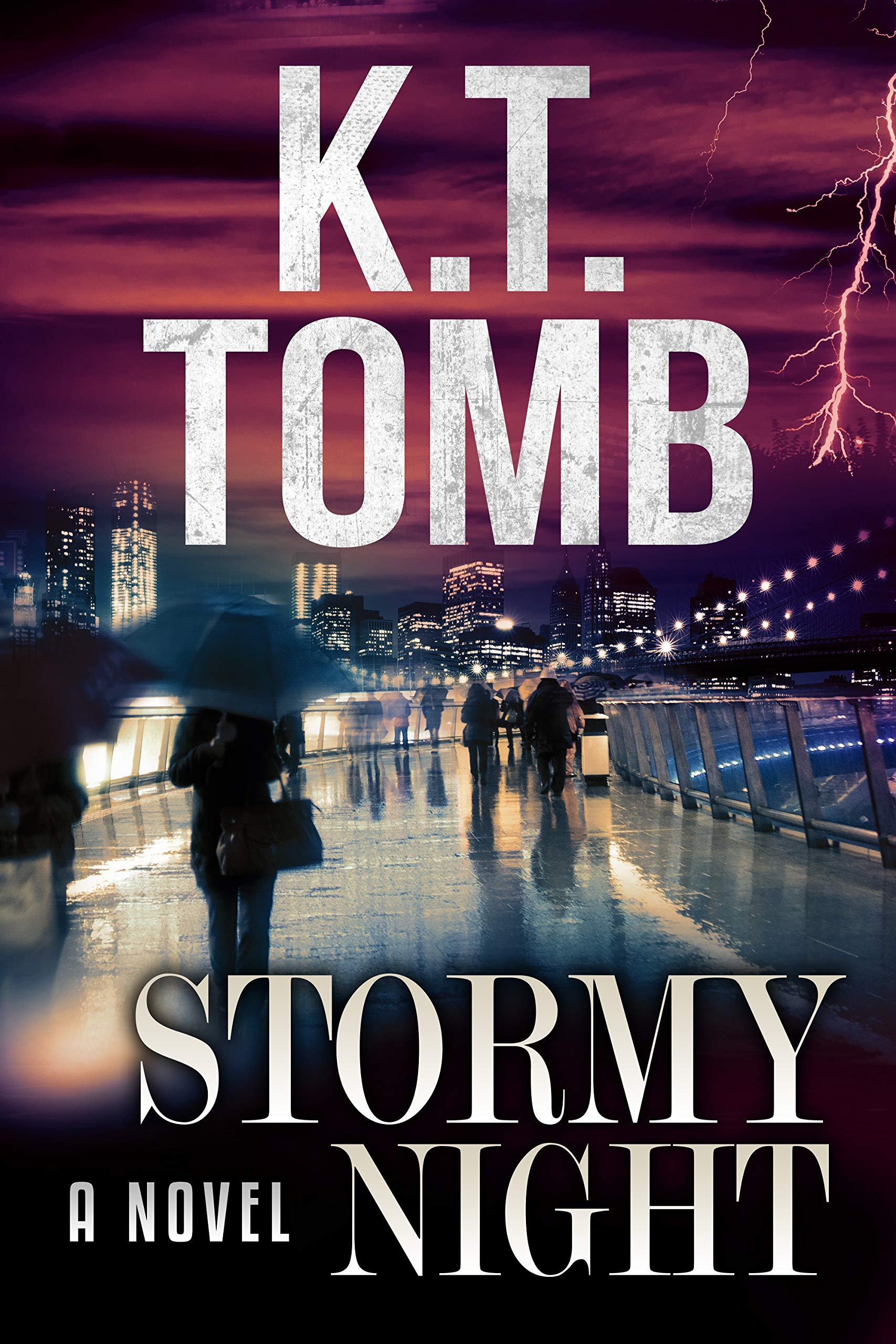 Stormy Night (Burden of Proof Book 3) by K.T. Tomb | Goodreads