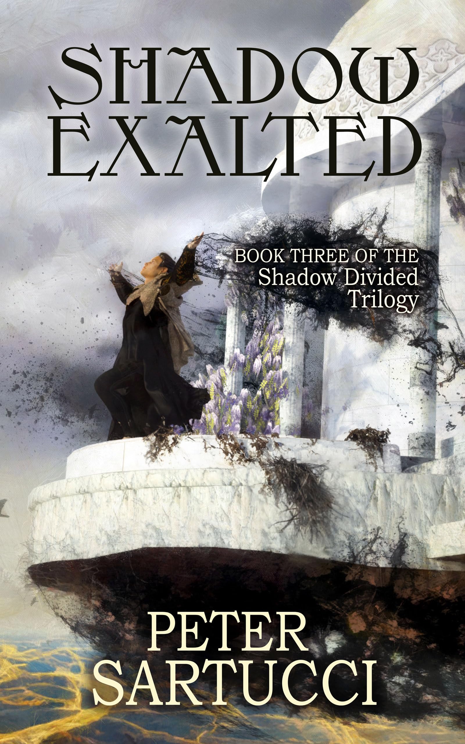Shadow Exalted: Book Three of the Shadow Divided Trilogy by Peter ...