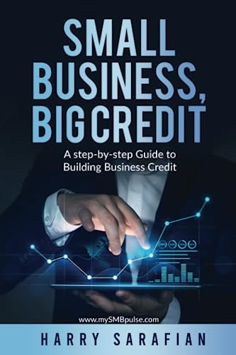 Small Business, Big Credit: A Step-by-Stwp Guide to Building Business ...