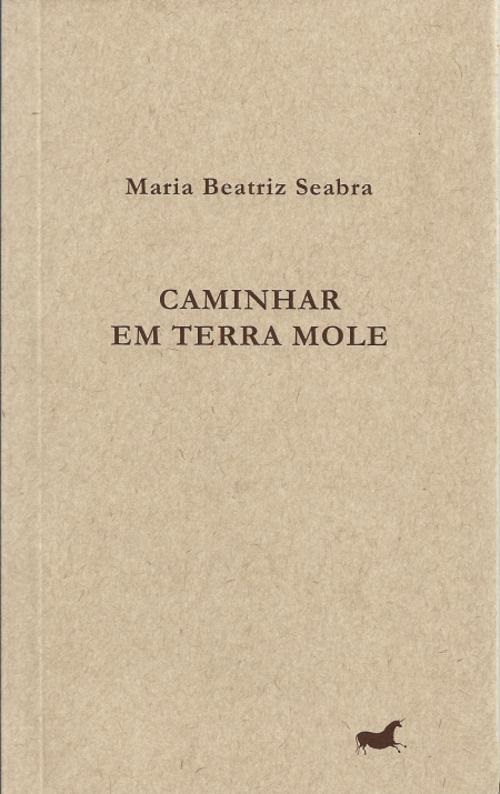 Caminhar em Terra Mole by Maria Beatriz Seabra | Goodreads