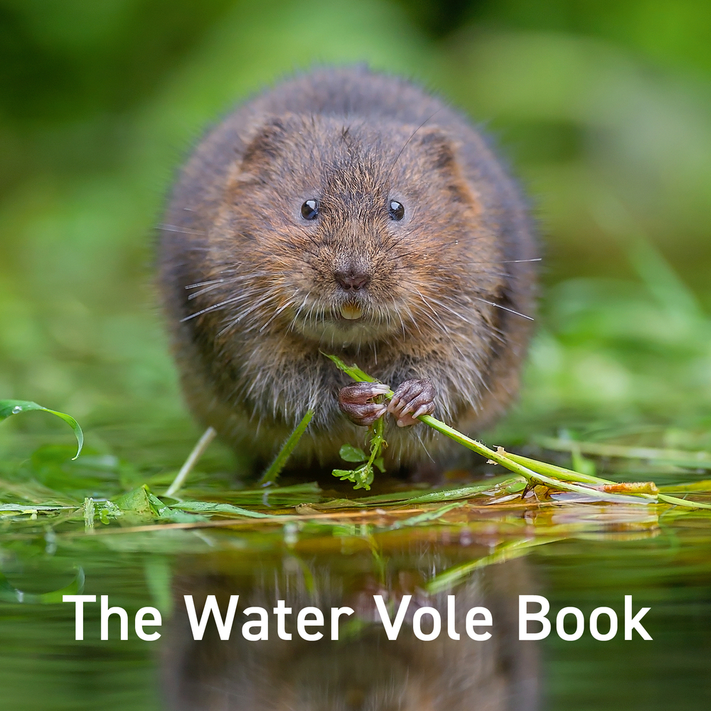 The Water Vole Book (The Nature Book Series) by Hugh Warwick | Goodreads