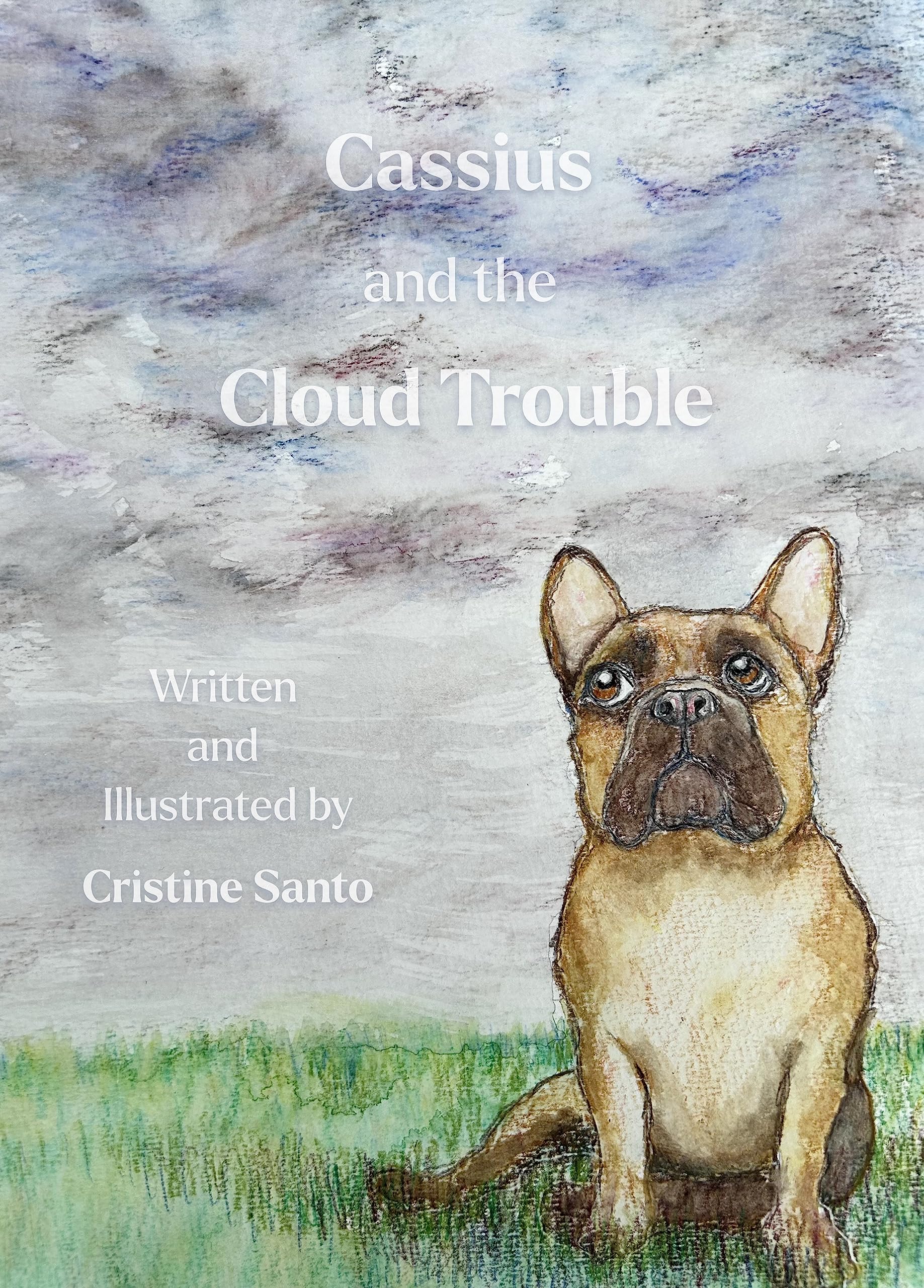 Cassius and the Cloud Trouble by Cristine Santo | Goodreads