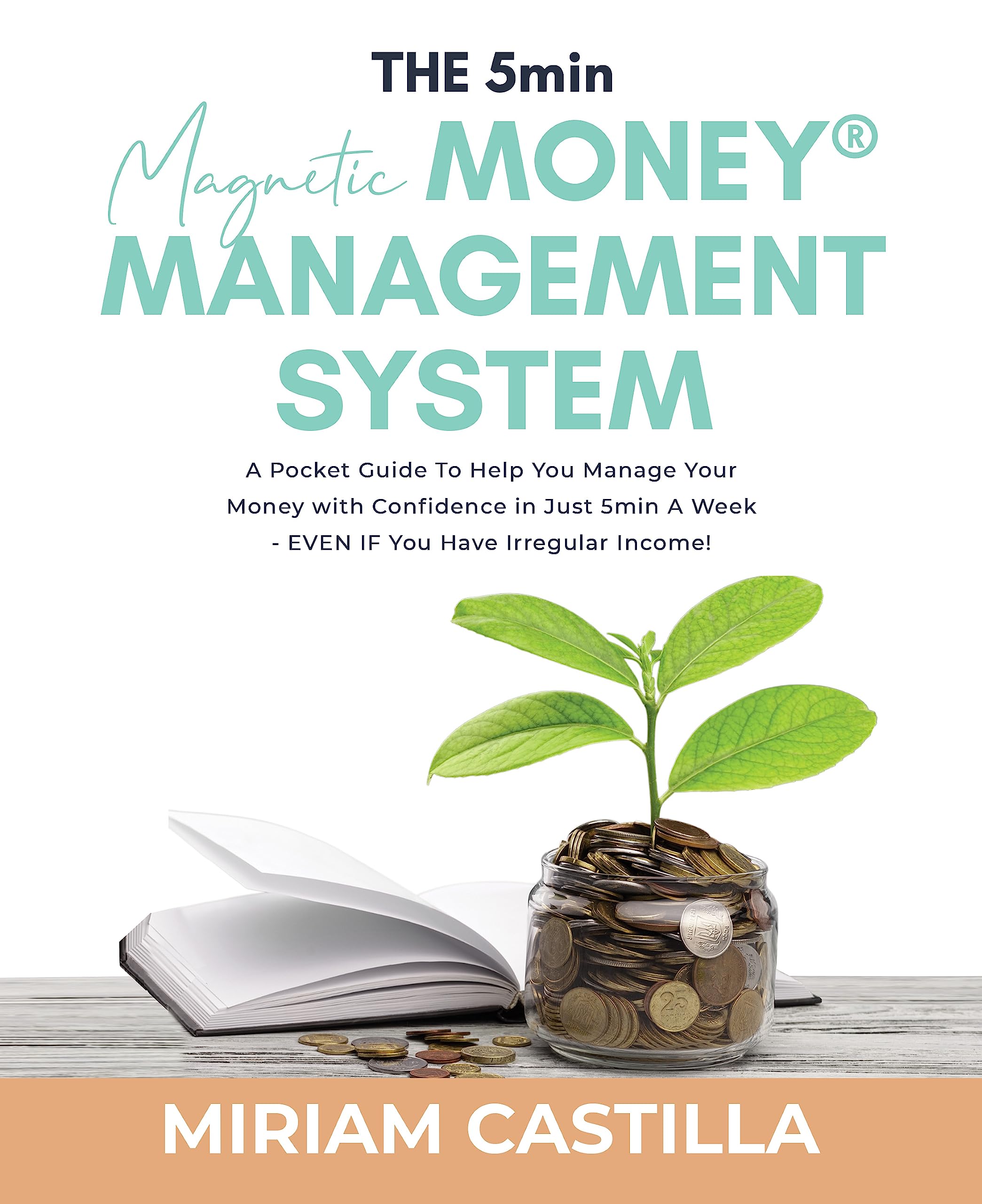 The (5min) Magnetic Money Management System: A Pocket Guide to Help You ...