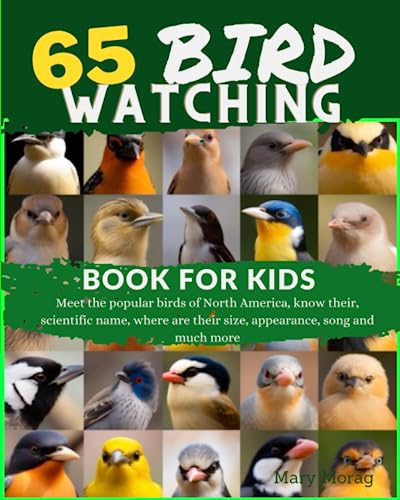 65 BIRD WATCHING BOOK FOR KIDS: Meet the popular birds of North America ...