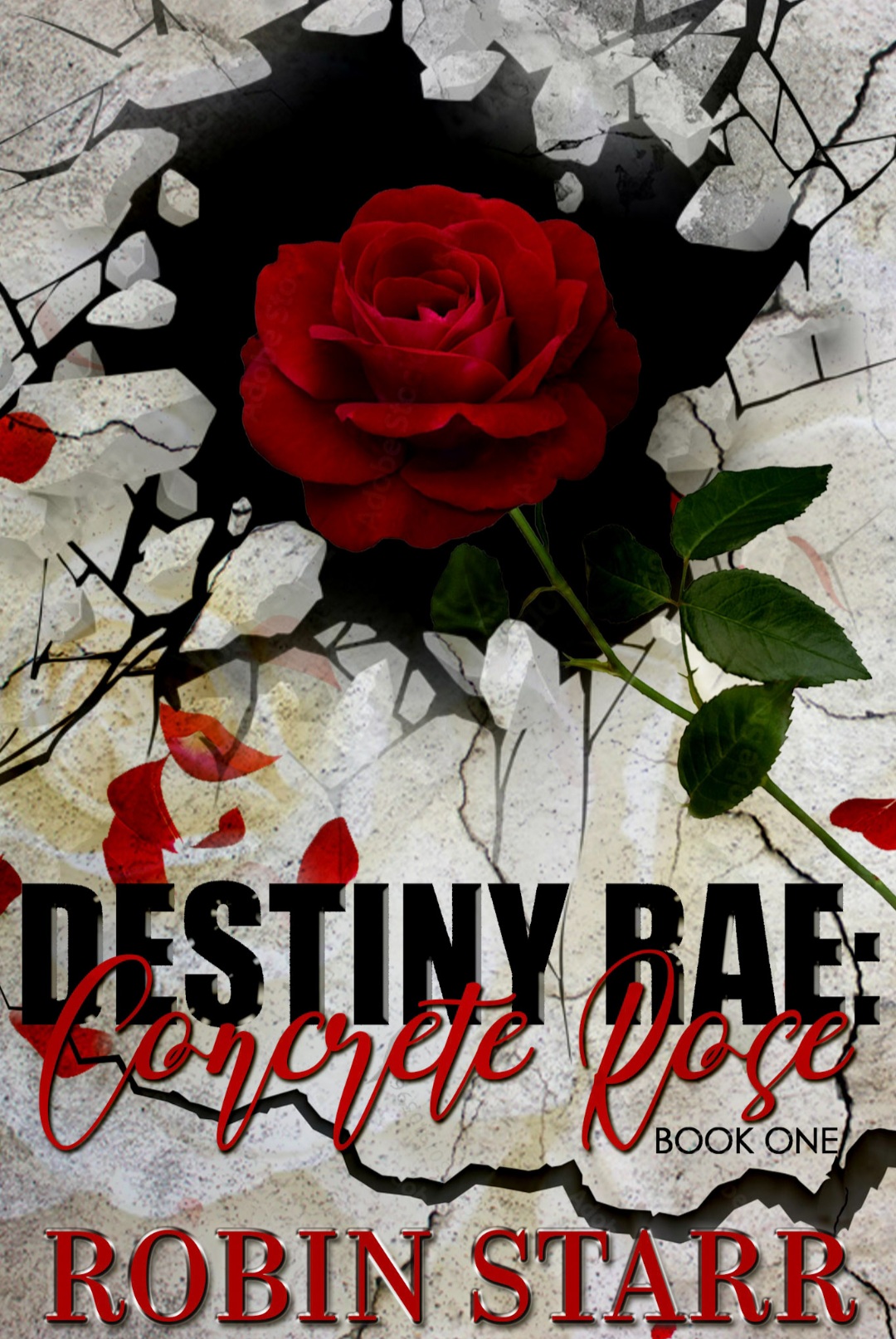 Destiny Rae: Concrete Rose by Robin Starr | Goodreads