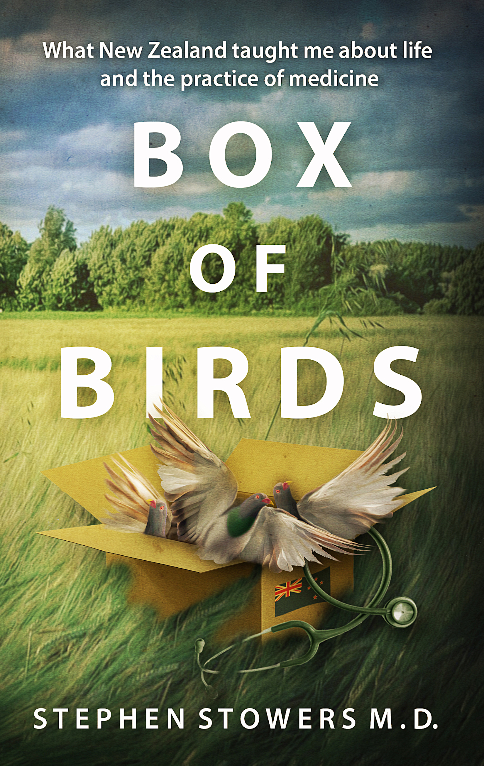 Box of Birds: What New Zealand taught me about life and the practice of ...
