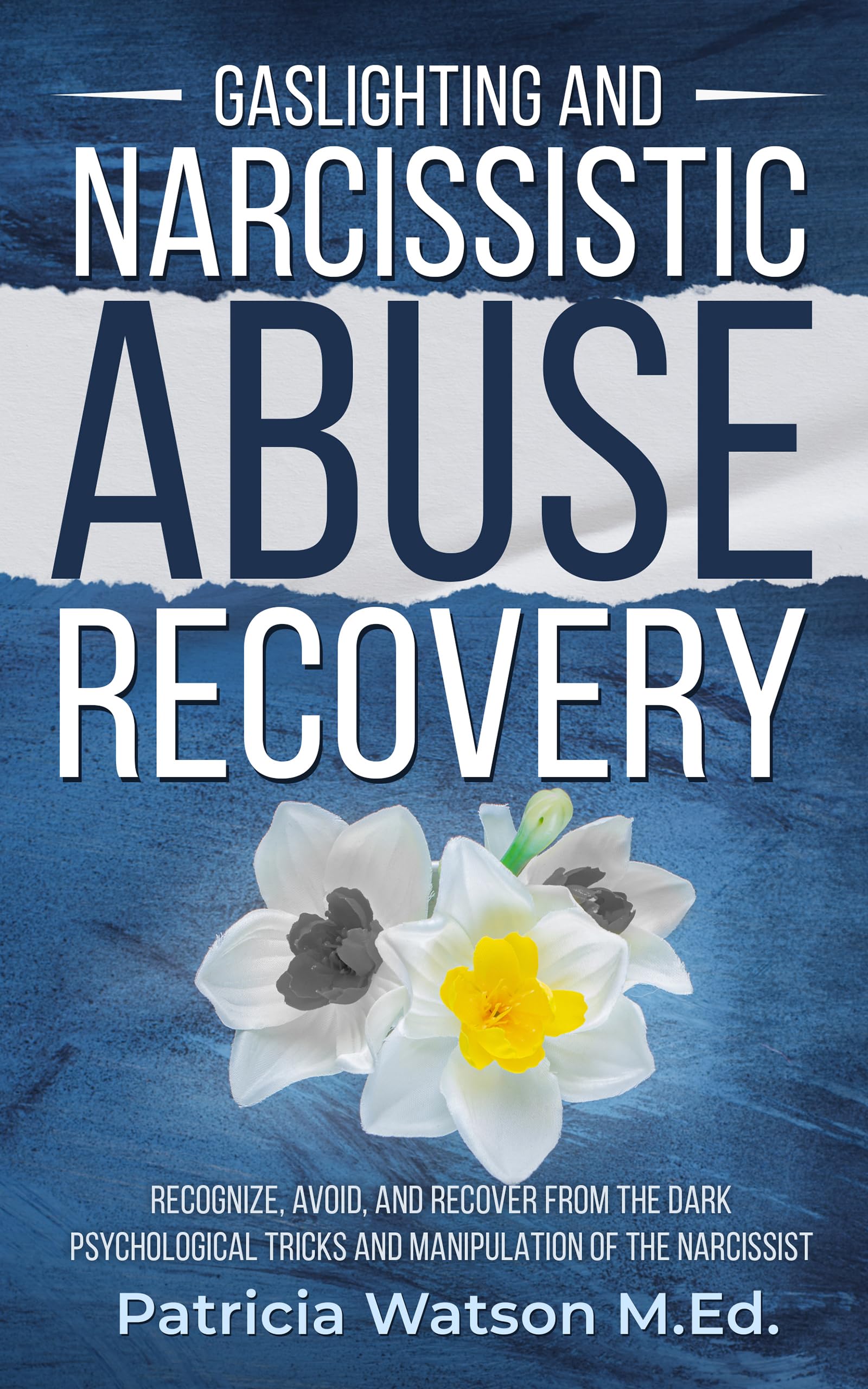 Gaslighting and Narcissistic Abuse Recovery: Recognize, Avoid and Recover from the Dark ...