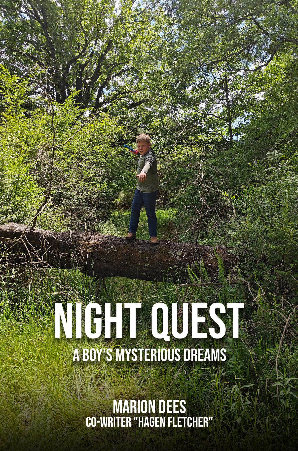 Night Quest: A Boy’s Mysterious Dreams by Marion Dees | Goodreads