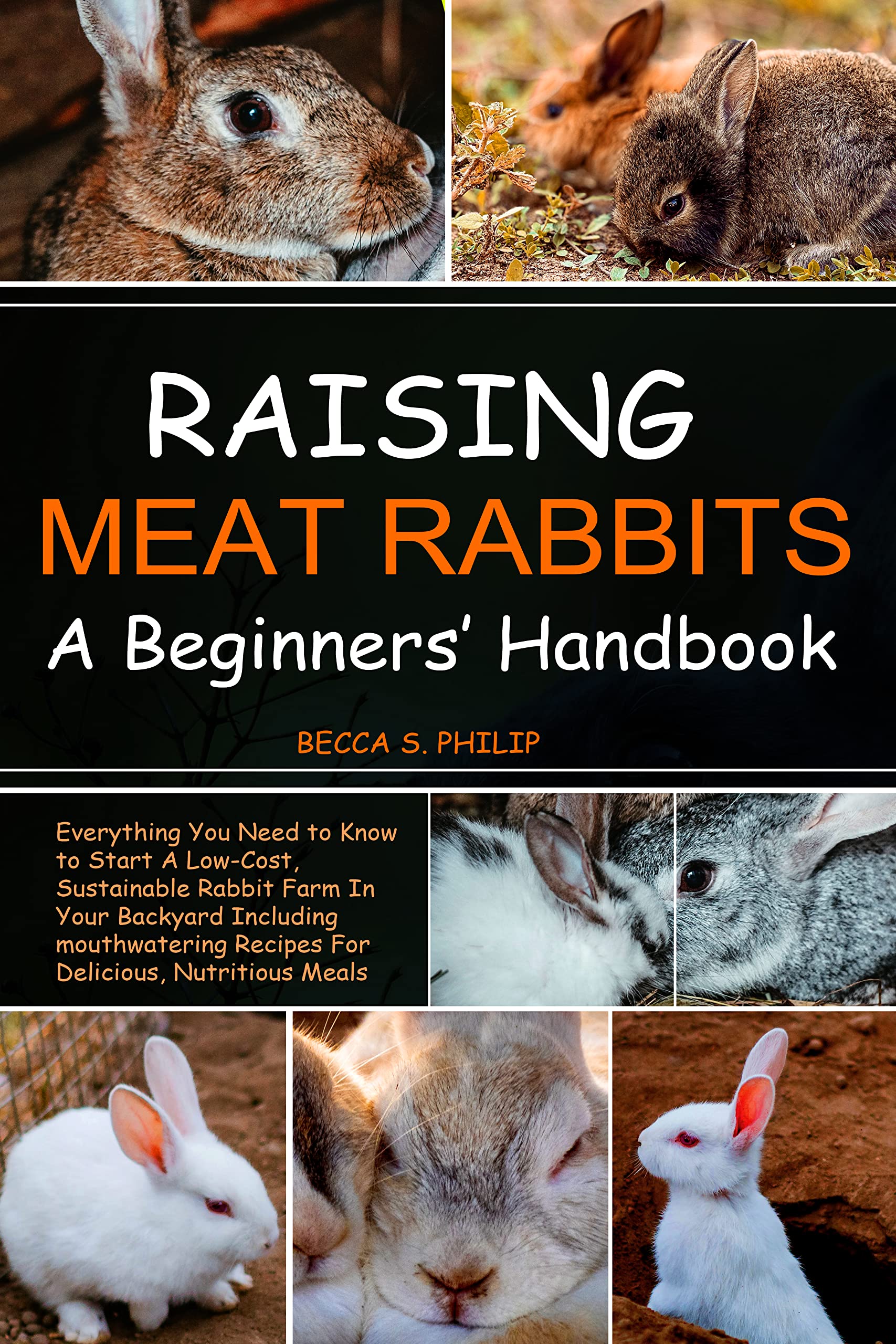 Raising Meat Rabbits A Beginners’ Handbook: Everything You Need to Know ...