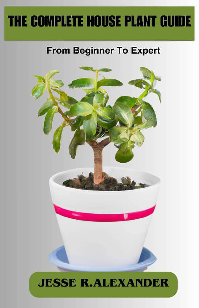 THE COMPLETE HOUSE PLANT GUIDE: From Beginner to Expert by Jesse ...