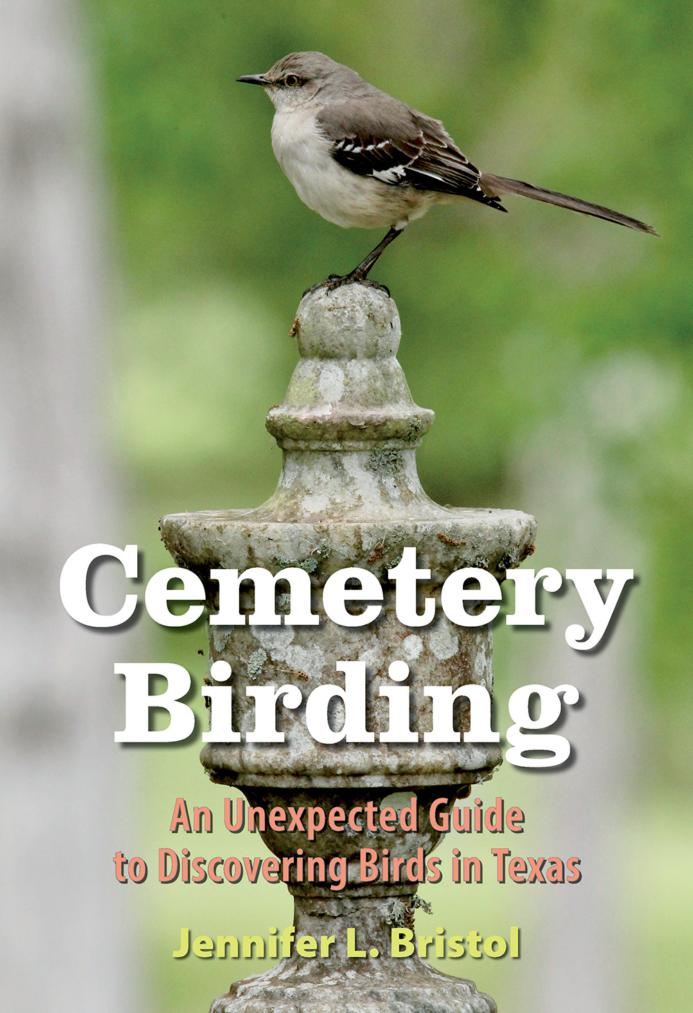 Cemetery Birding: An Unexpected Guide to Discovering Birds in Texas by ...