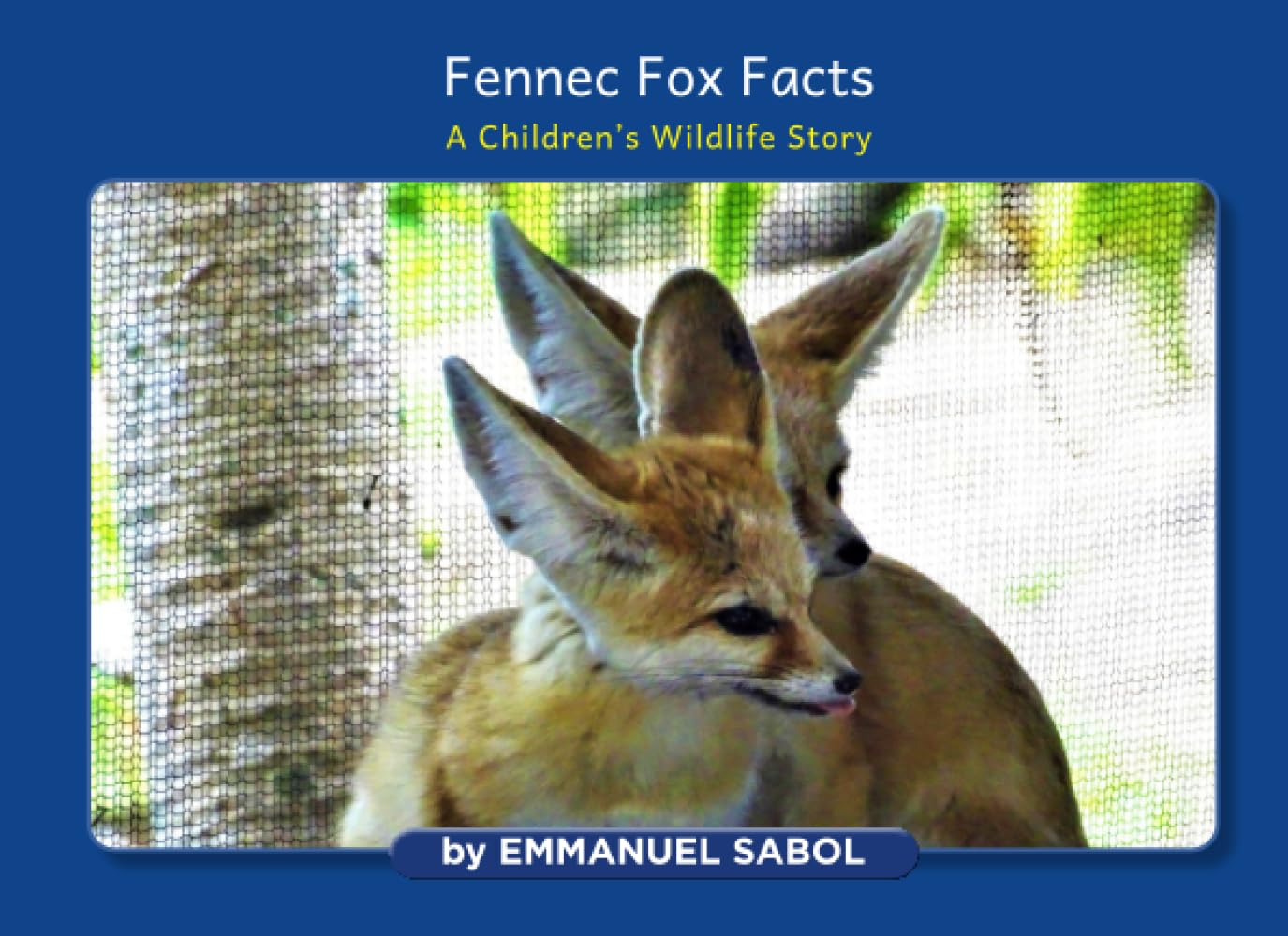 Fennec Fox Facts: A Children's Wildlife Story by Emmanuel Sabol | Goodreads