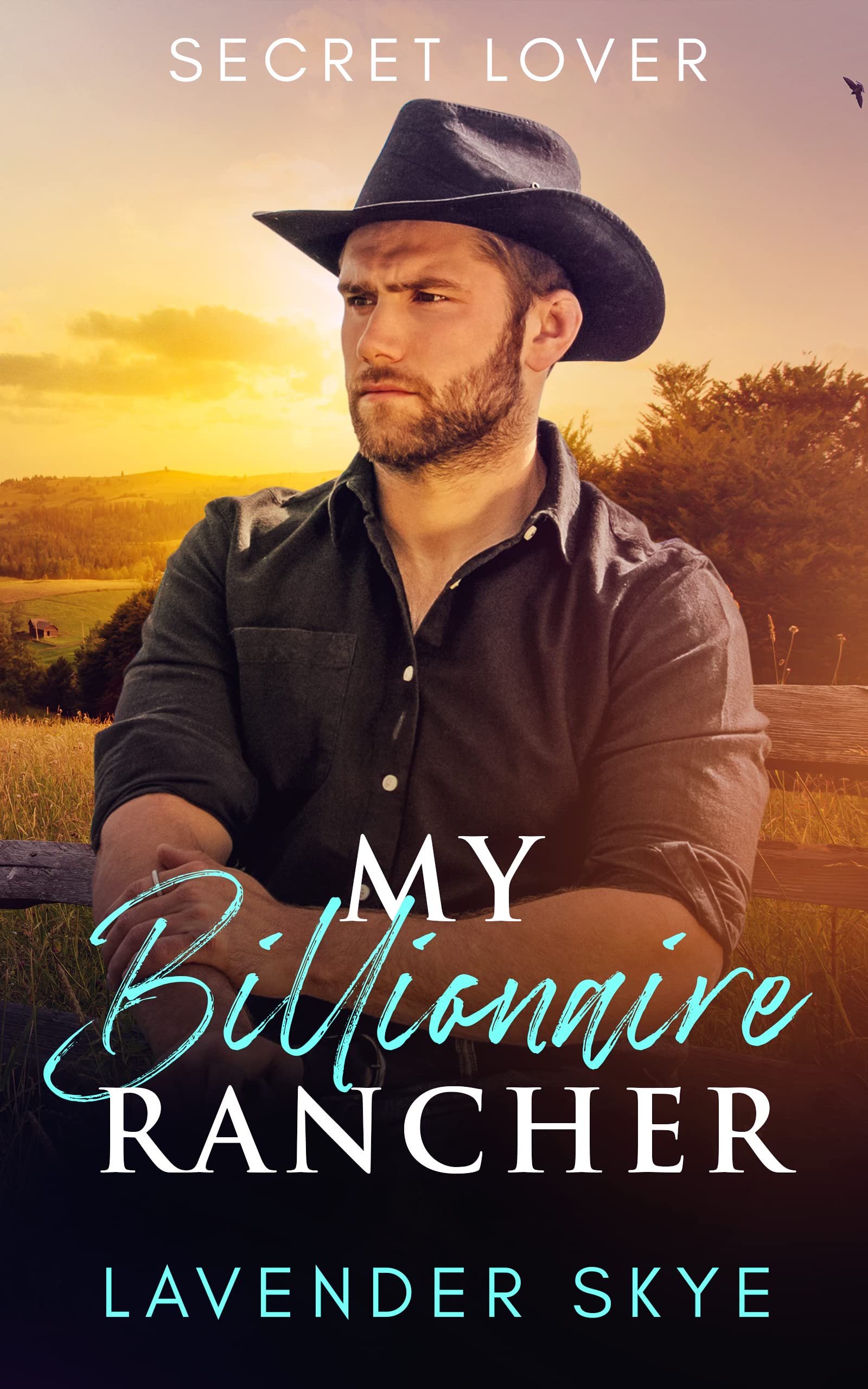 My Billionaire Rancher by Lavender Skye | Goodreads