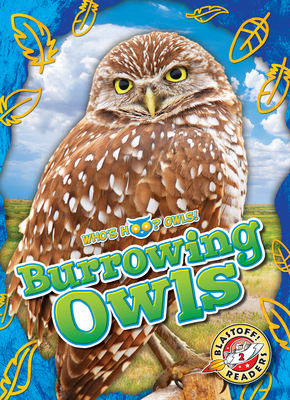 Burrowing Owls - Who's Hoo? Owls!, Non-Fiction Reading and Photos About ...
