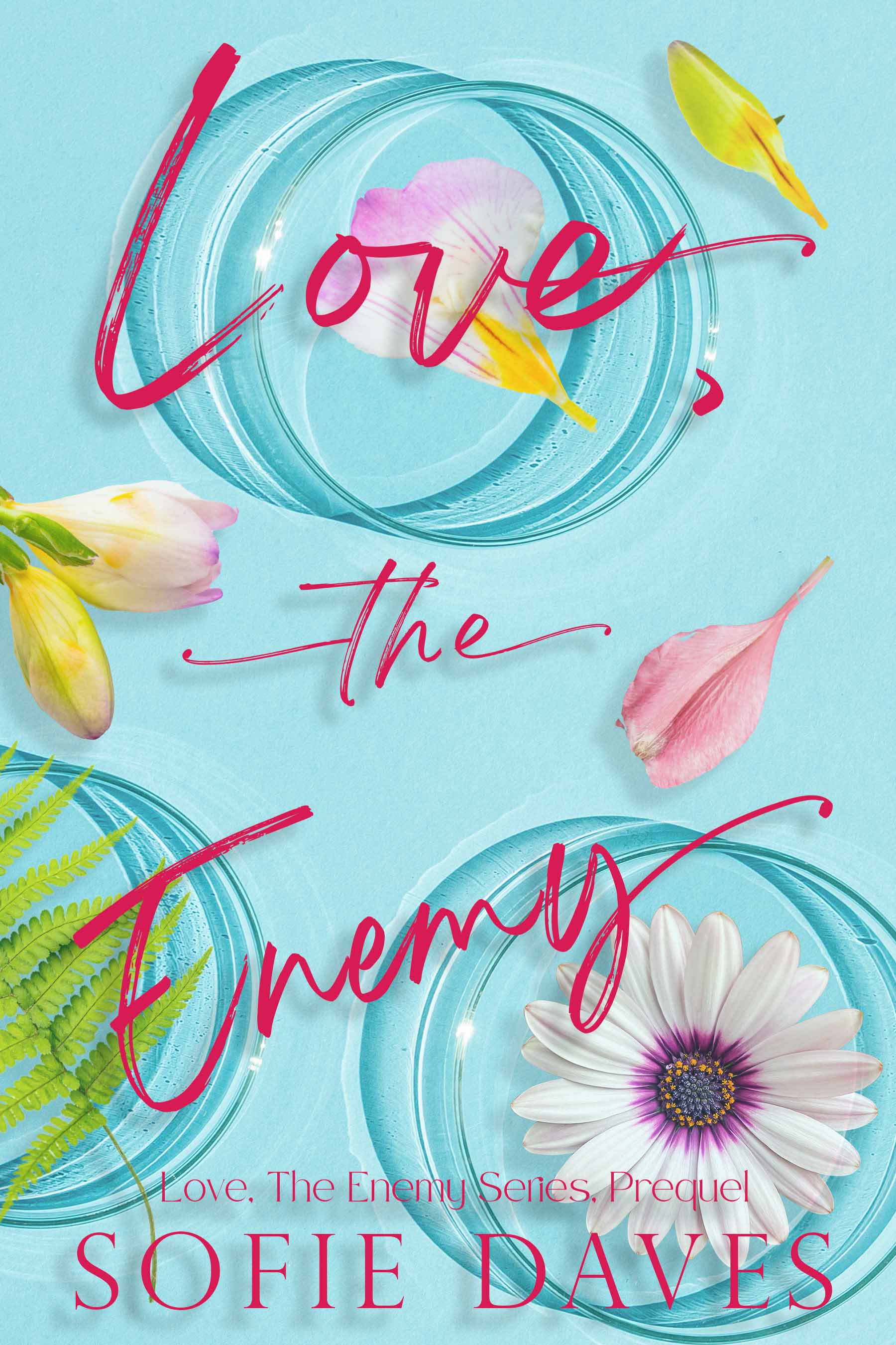 Love, the Enemy (Love, the Enemy #0.5) by Sofie Daves | Goodreads