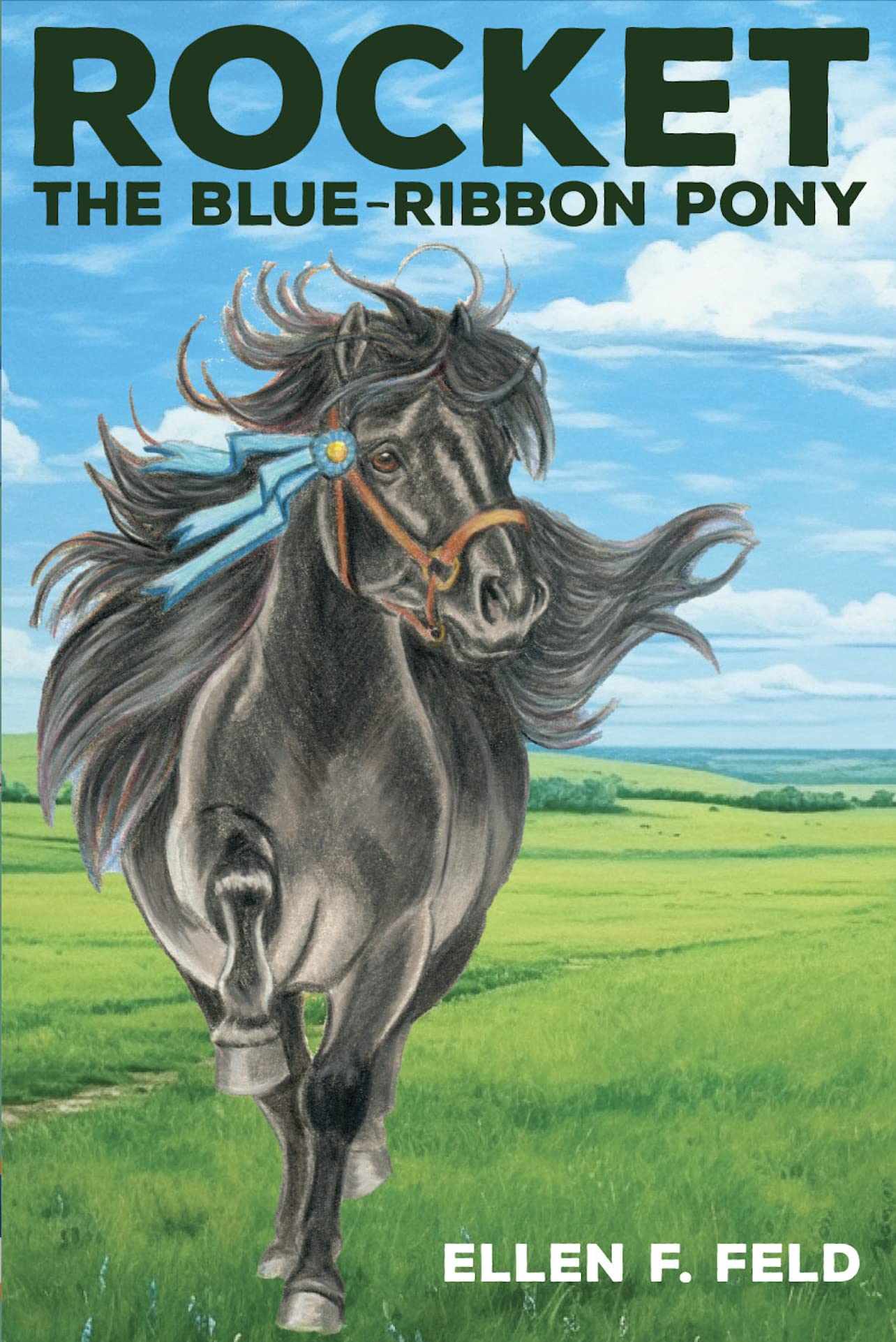 Rocket: The Blue-Ribbon Pony (The Miniature Morgan Series, Book Two) by ...