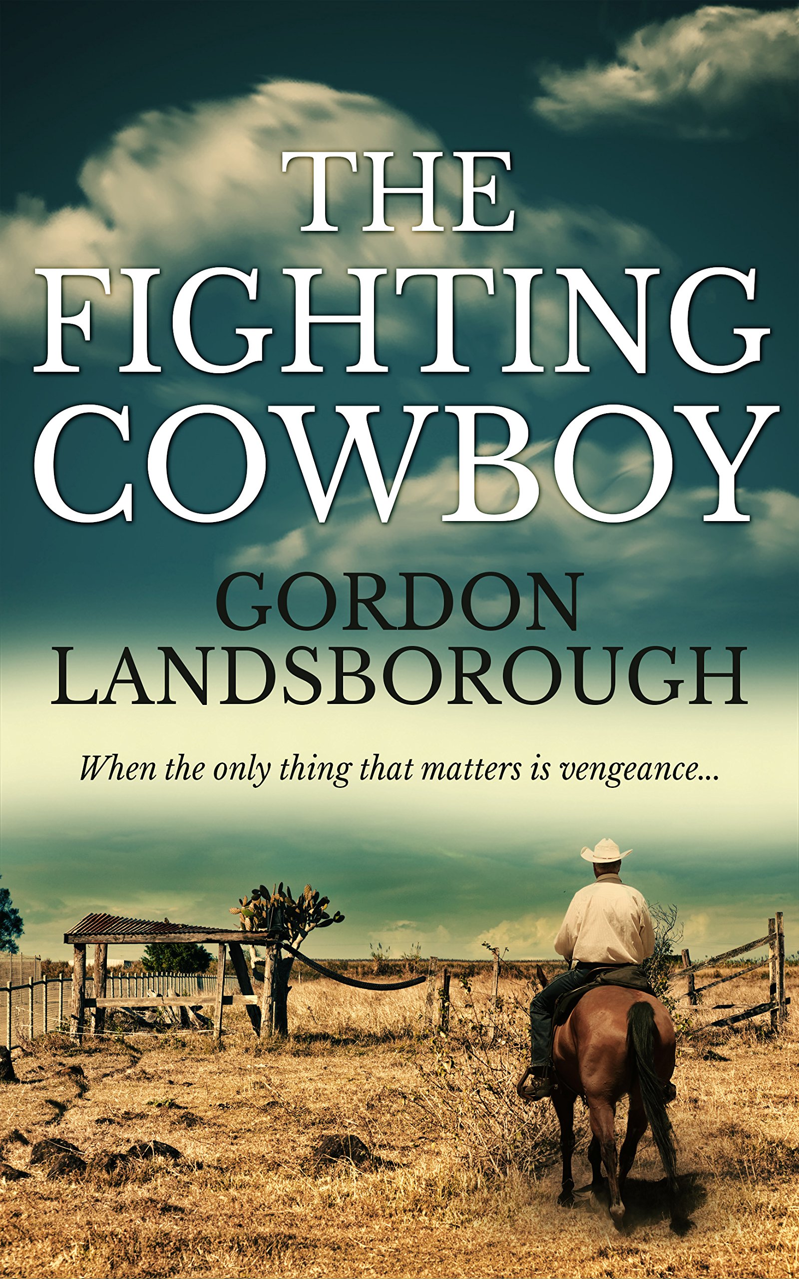 THE FIGHTING COWBOY a classic western adventure novel by Gordon ...