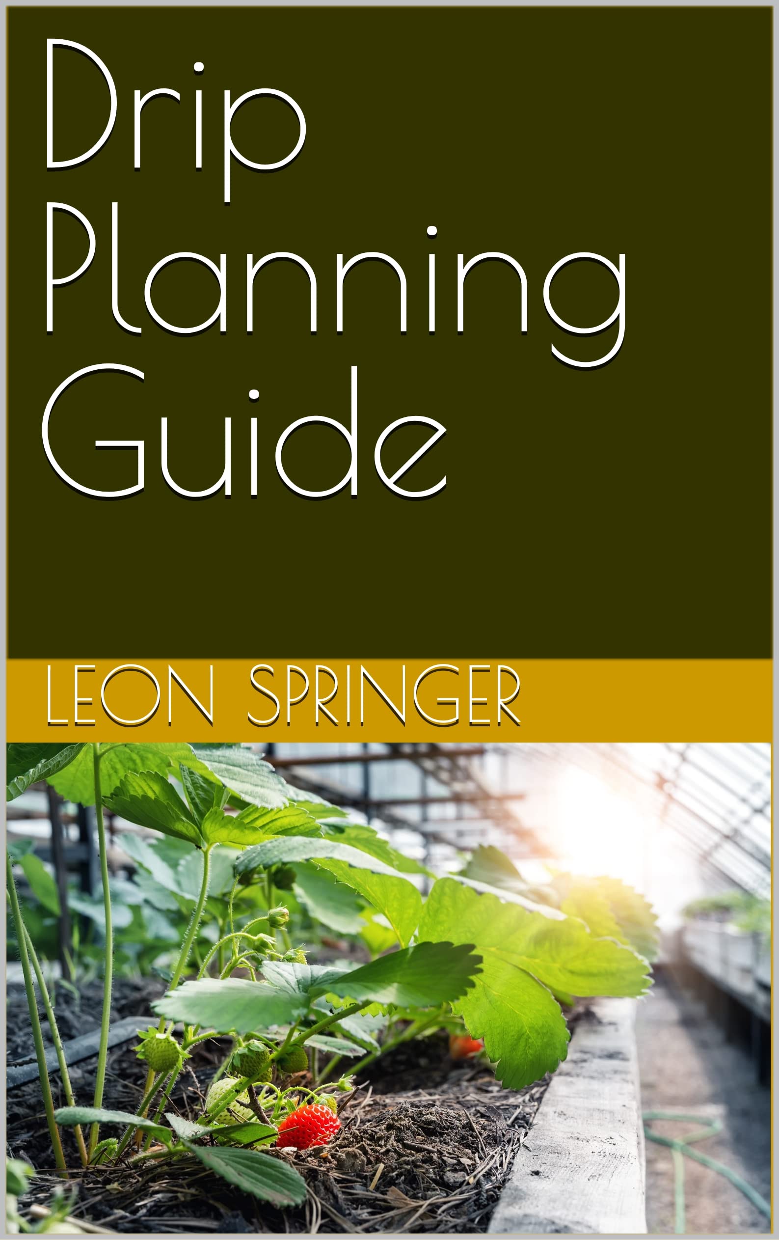 Drip Planning Guide by Leon Springer | Goodreads