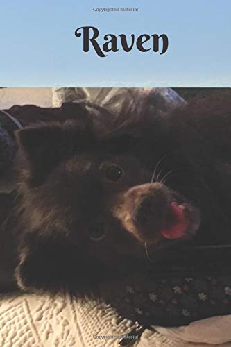 Raven by Bold Visions | Goodreads