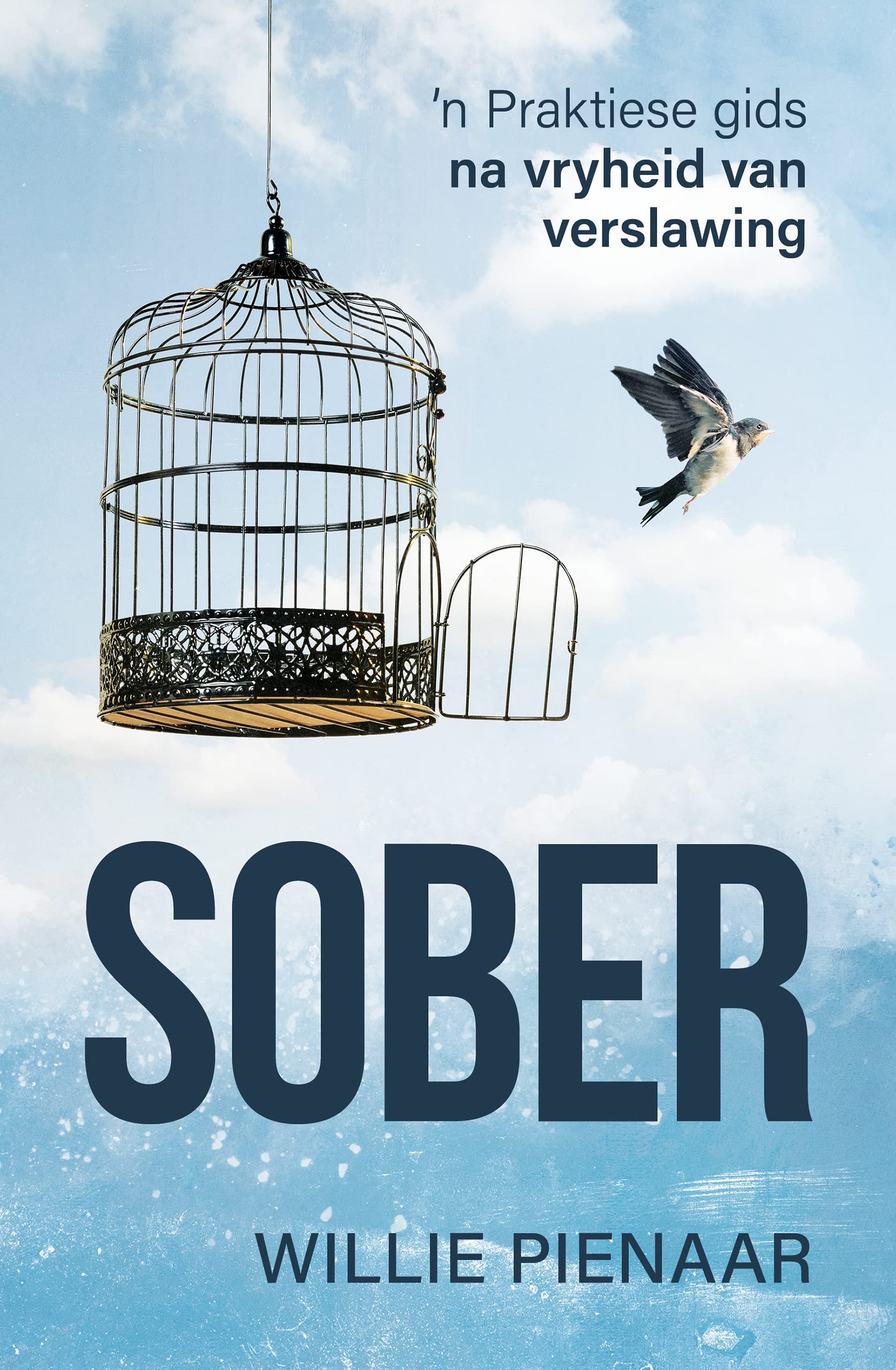 Sober: ’n Praktiese gids na vryheid van verslawing by Willie Pienaar ...