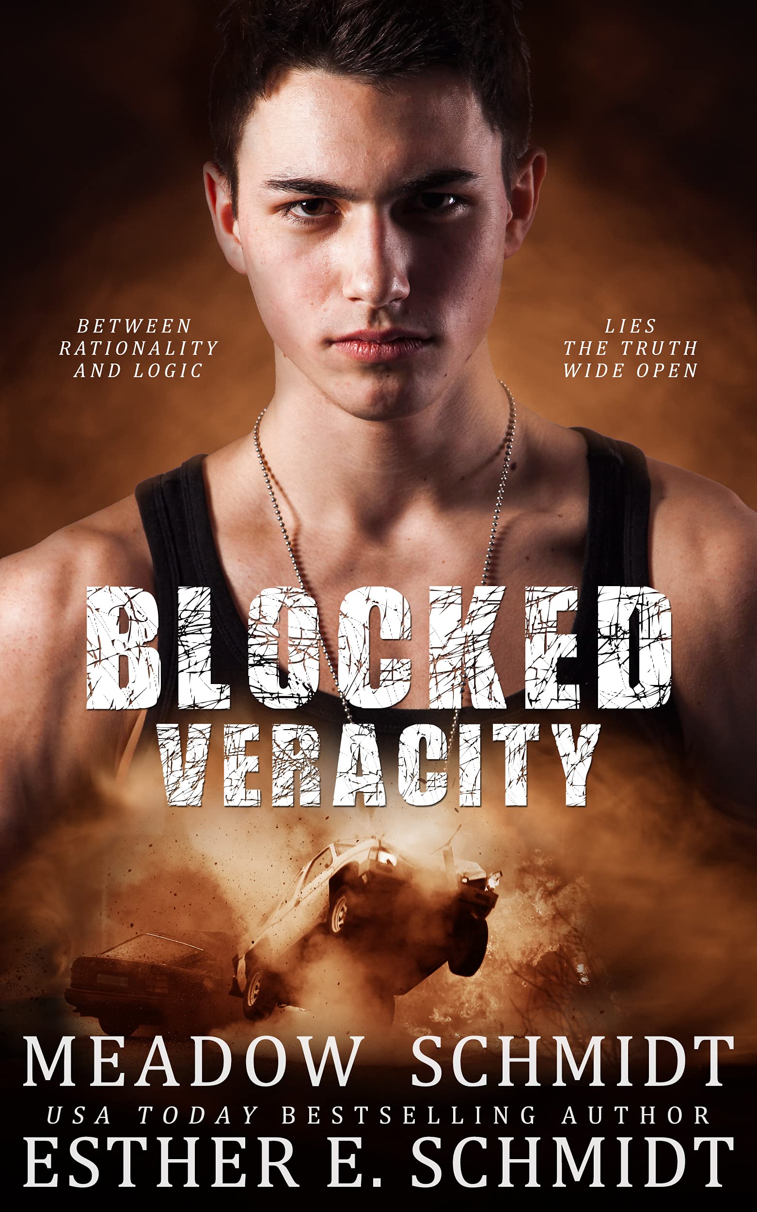 Blocked Veracity by Meadow Schmidt | Goodreads