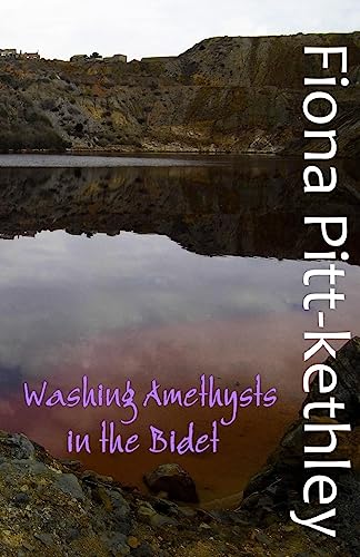 Washing Amethysts in the Bidet by Fiona Pitt-Kethley | Goodreads