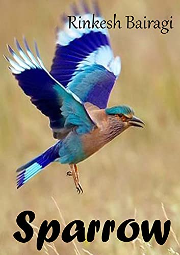 Sparrow (Hindi Edition) by Rinkesh Bairagi | Goodreads