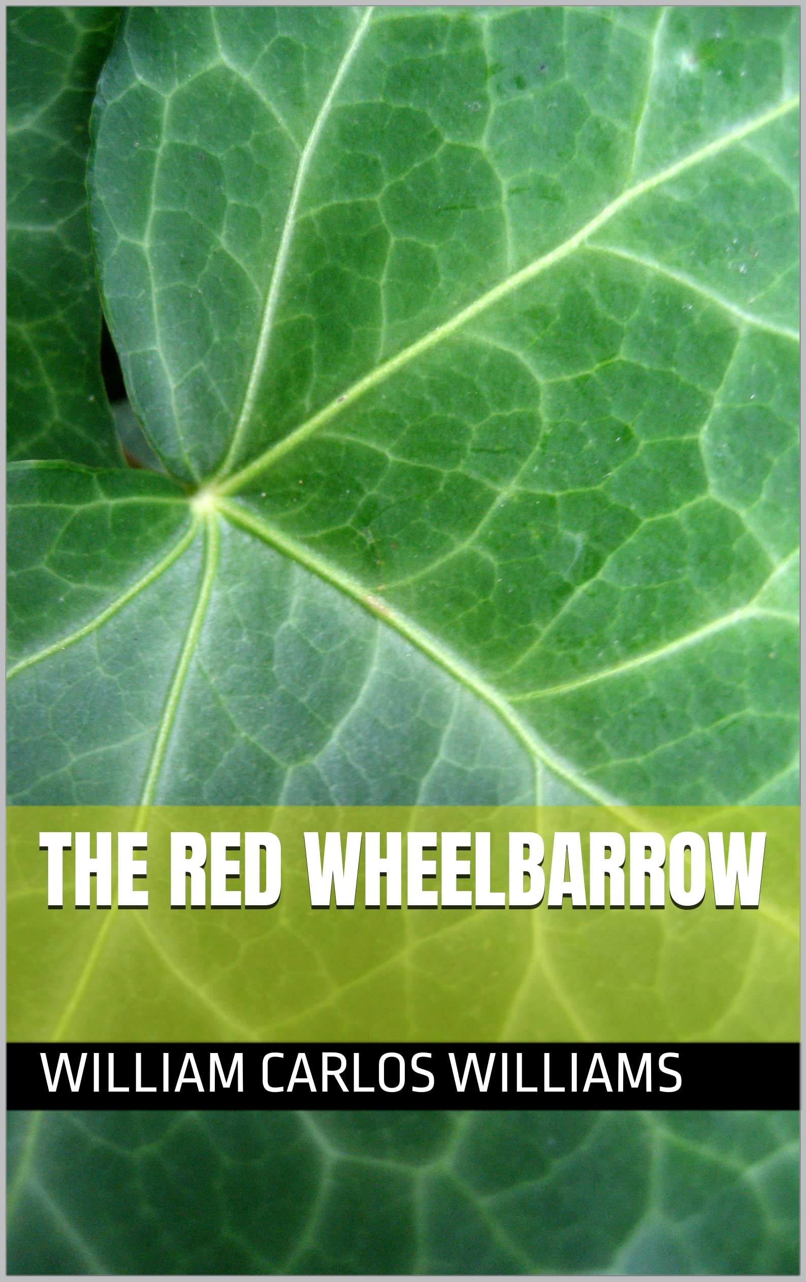 The Red Wheelbarrow by William Carlos Williams | Goodreads