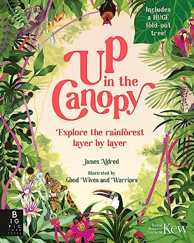 Up in the Canopy: Explore the Rainforest, Layer by Layer by James ...