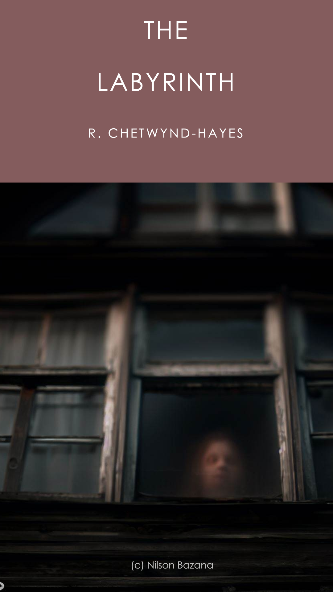 The Labyrinth by R. Chetwynd-Hayes | Goodreads