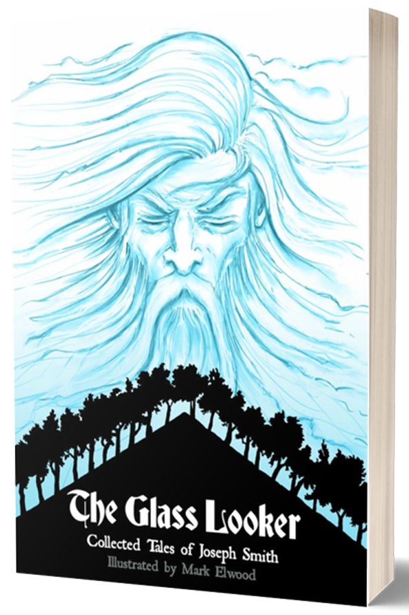 The Glass Looker, Vol. 2 by Mark Elwood | Goodreads