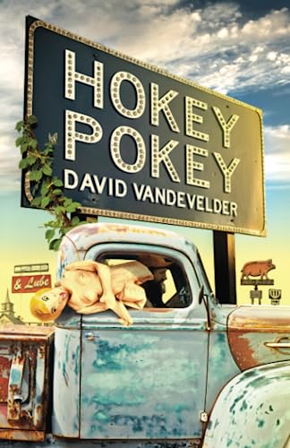 Hokey Pokey by David VanDevelder | Goodreads