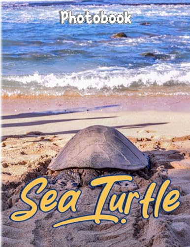 Sea Turtle Photobook: Marine Turtles Color Book to Decor Room, Home ...