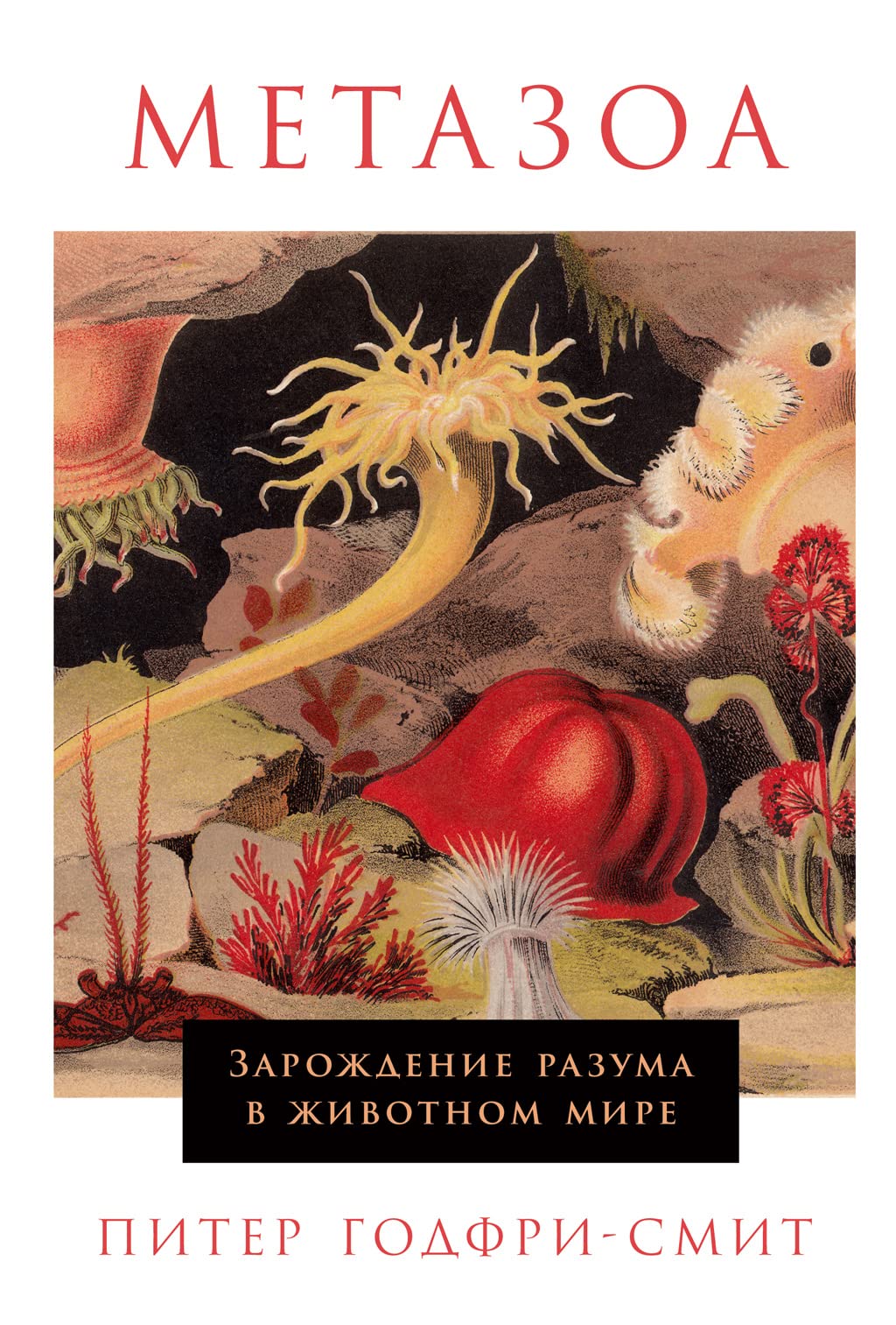 Метазоа: Зарождение разума в животном мире (Metazoa: Animal Life and ...