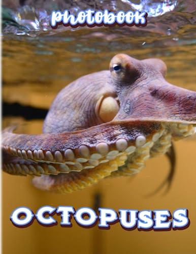 Octopuses Photo Book: Discover The World Of A Sea Creature With 40 ...