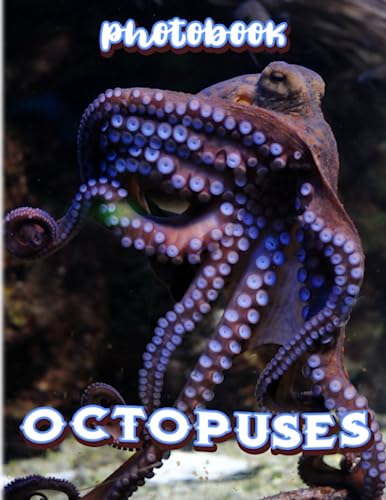 Octopuses Photo Book: Discover The World Of A Sea Creature With 40 ...