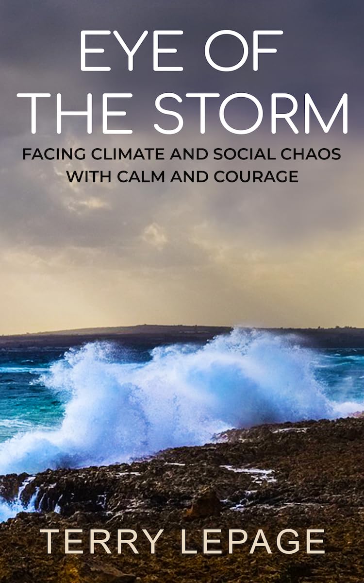 Eye of the Storm: Facing climate and social chaos with calm and courage ...