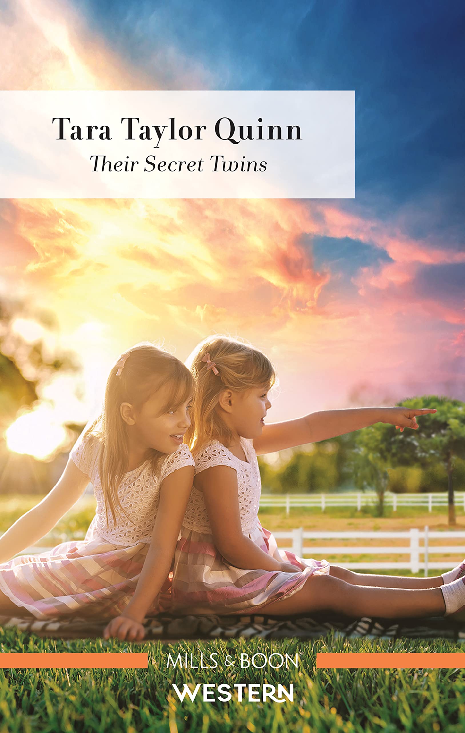 Their Secret Twins (Sierra's Web Book 13) by Tara Taylor Quinn | Goodreads