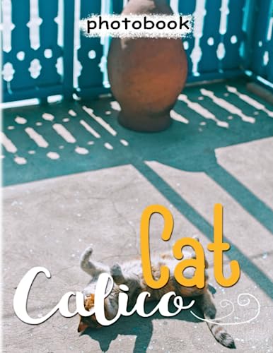 Calico Cats Photobook: Domestic Cat Picture Book for Lover | 40 ...