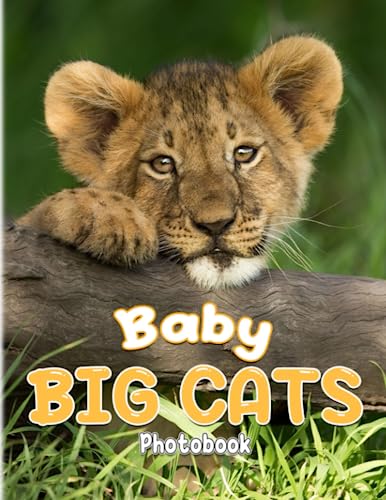 Baby Big Cats Photo Book: The Cutest Baby Cats Around the World ...