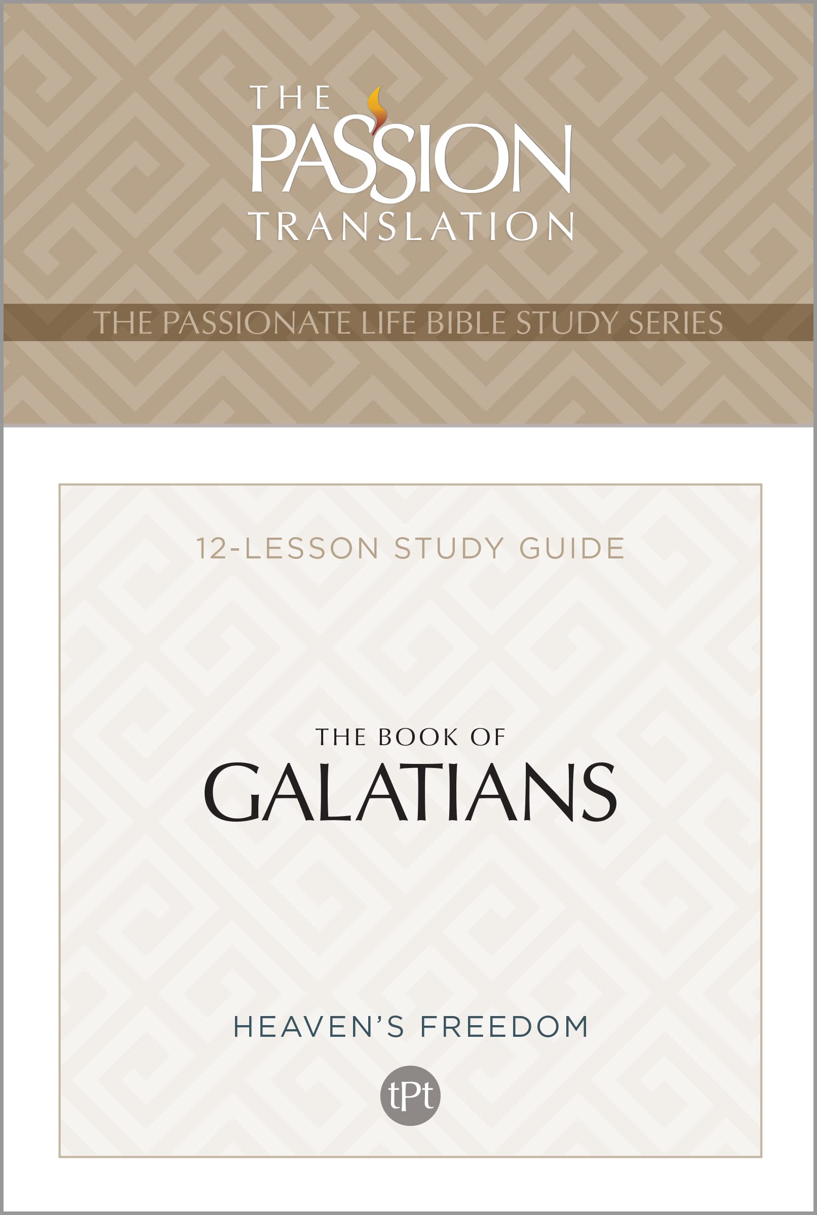 TPT The Book of Galatians: 12-Lesson Study Guide by Brian Simmons ...