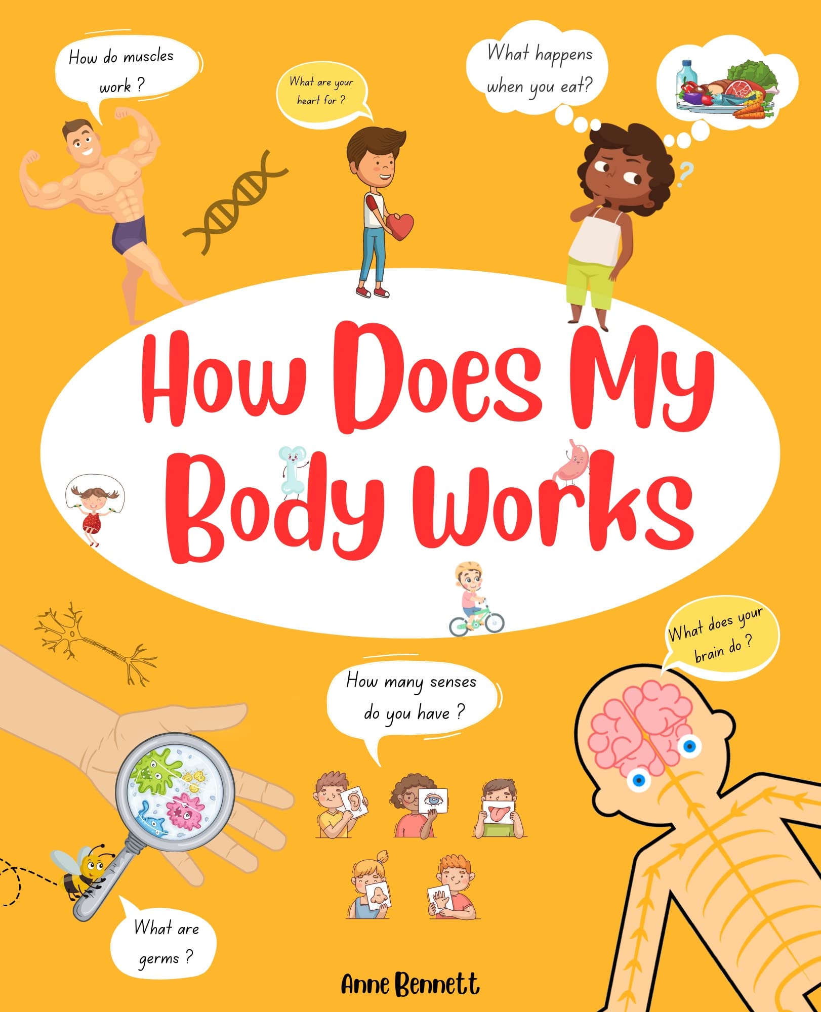 How Does My Body Works: Fascinating facts about your body with amazing ...