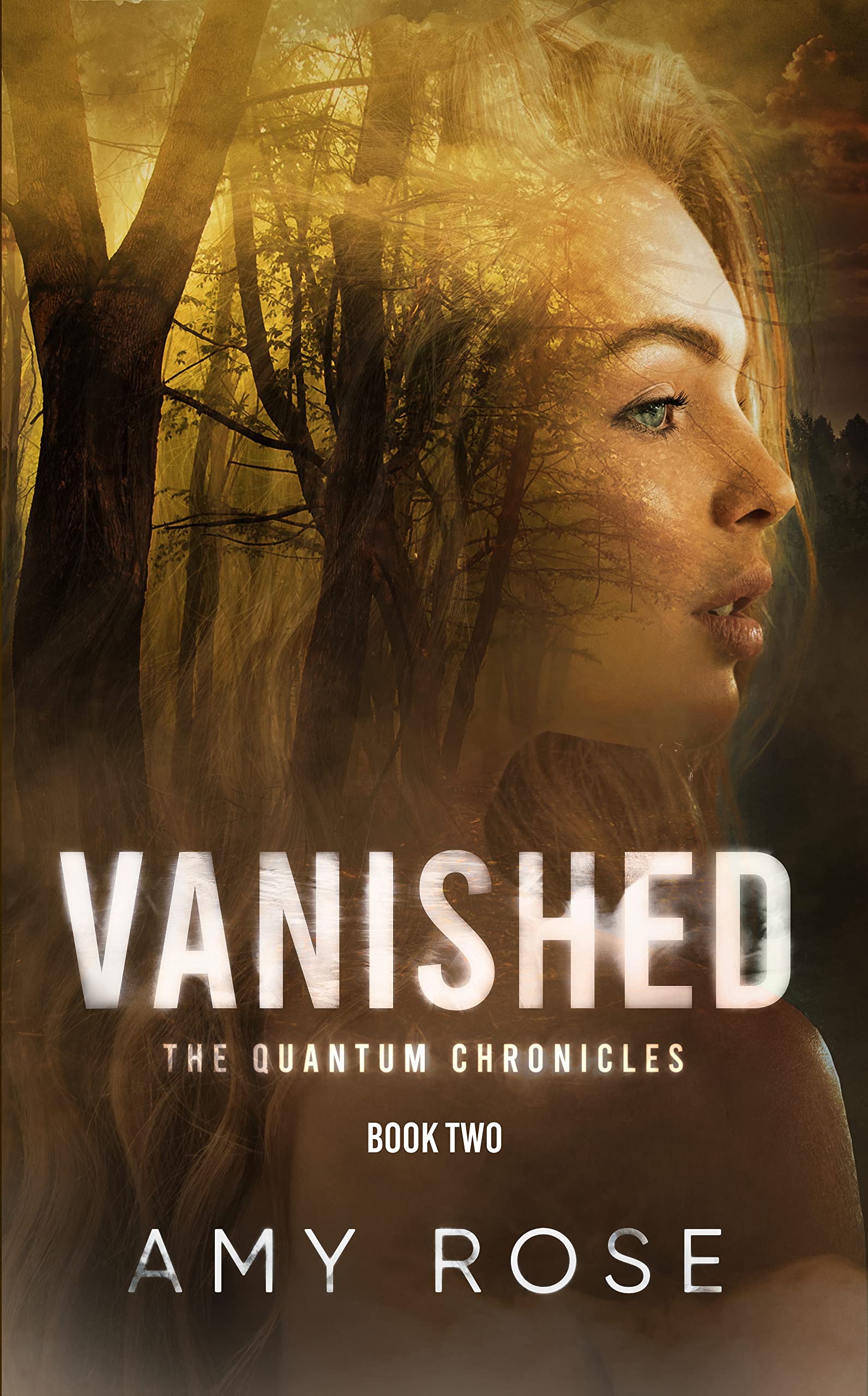 Vanished: The Quantum Chronicles by Amy Rose | Goodreads
