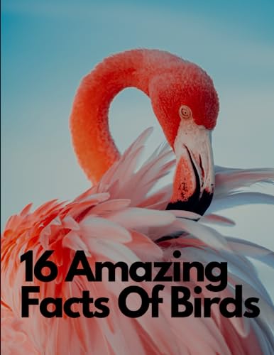 16 Amazing Facts Of Birds by JOHNSON JUSTIN | Goodreads