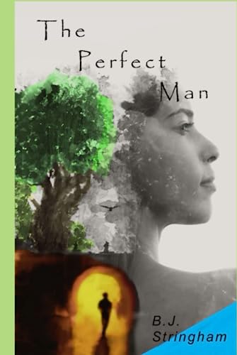 The Perfect Man (The Perfect Series) by B.J. Stringham | Goodreads