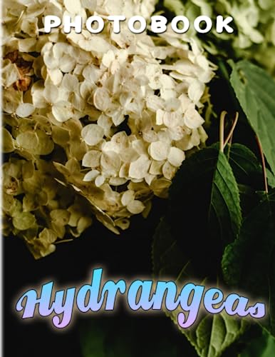Hydrangeas Photobook: Blooming Flower Poster for Girls, Women to Decor ...