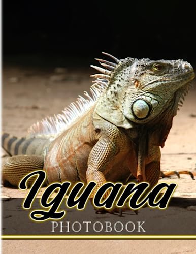 Iguana Photobook: Photo Album Collection Images Of Colorful Iguana For ...