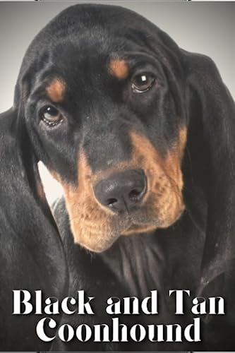 Black and Tan Coonhound: Dog breed overview and guide by Nina Pustova ...