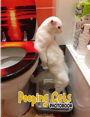 Pooping Cats Photobook: Funny Photos Of Animal For Teens, Adults To ...