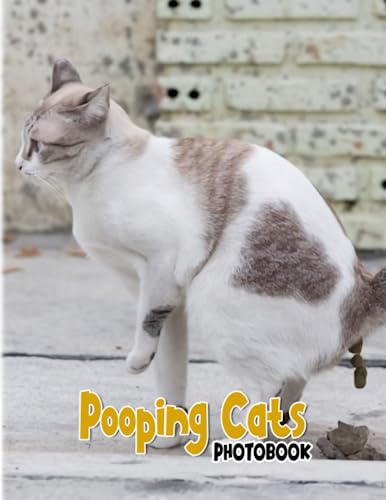 Pooping Cats Photobook: Funny Photos Of Animal For Teens, Adults To ...